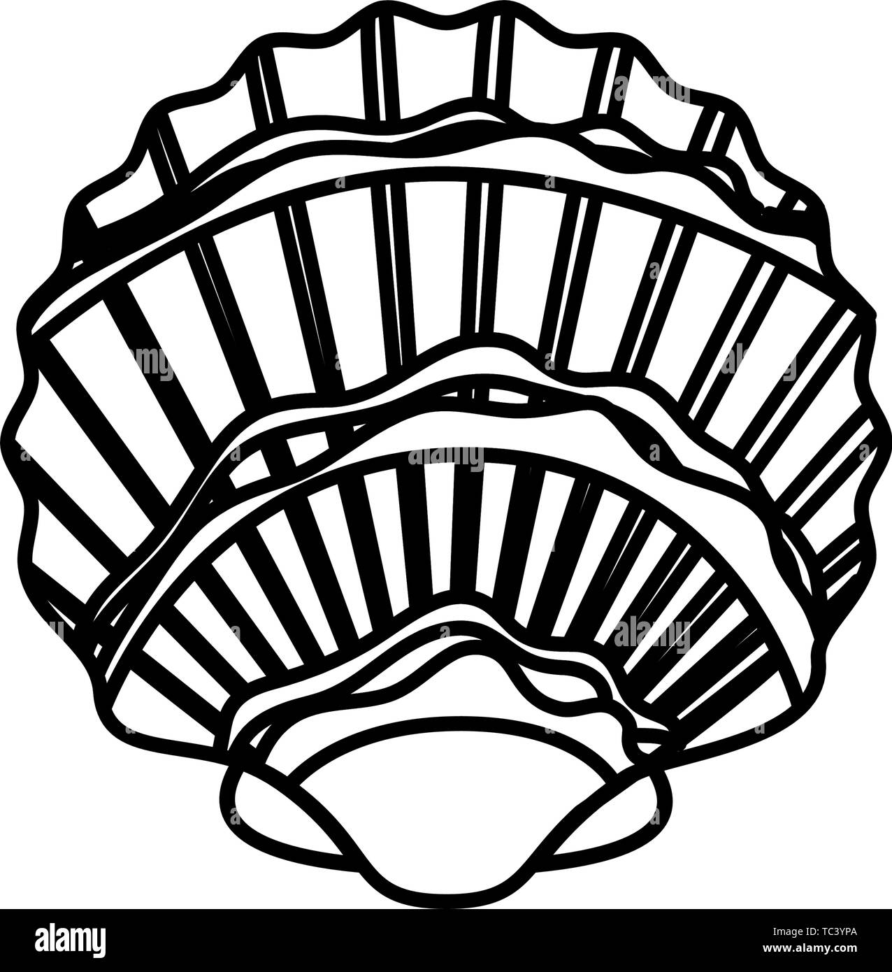 Cartoon seashells Black and White Stock Photos & Images - Alamy