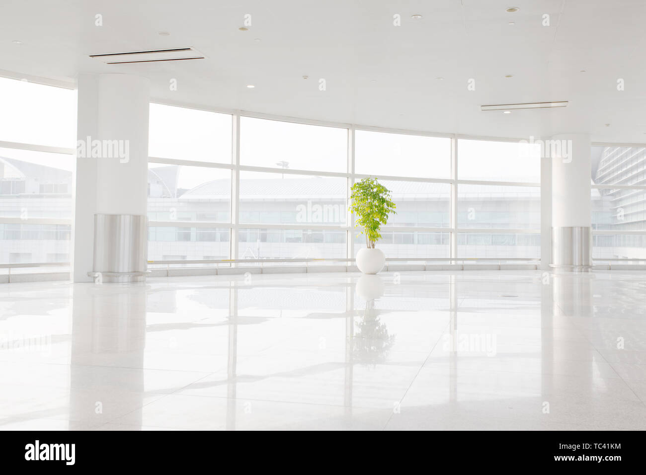 Clean home no mould hi-res stock photography and images - Alamy