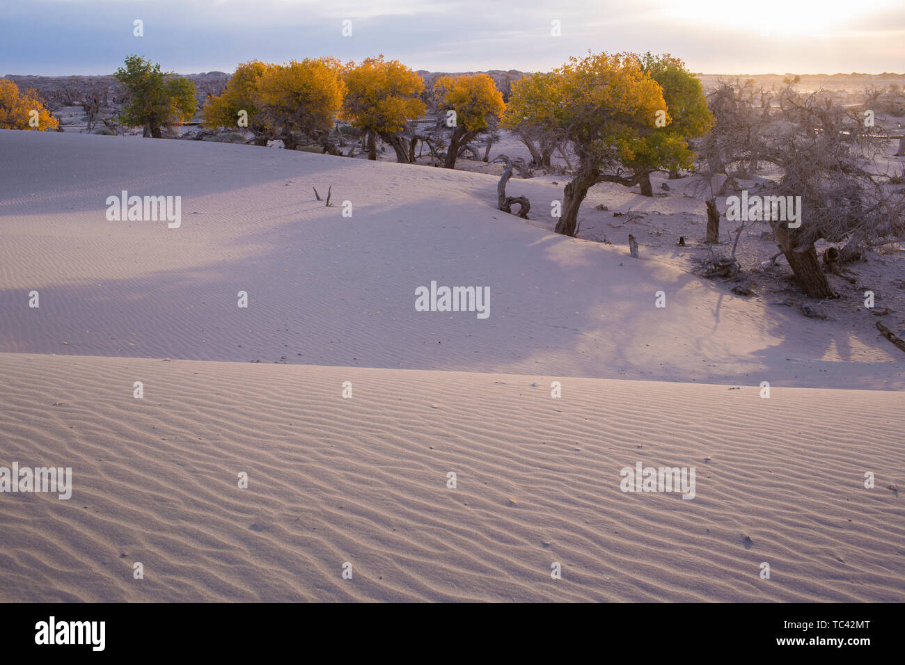 Hu yang and hu yang lin hi-res stock photography and images - Alamy