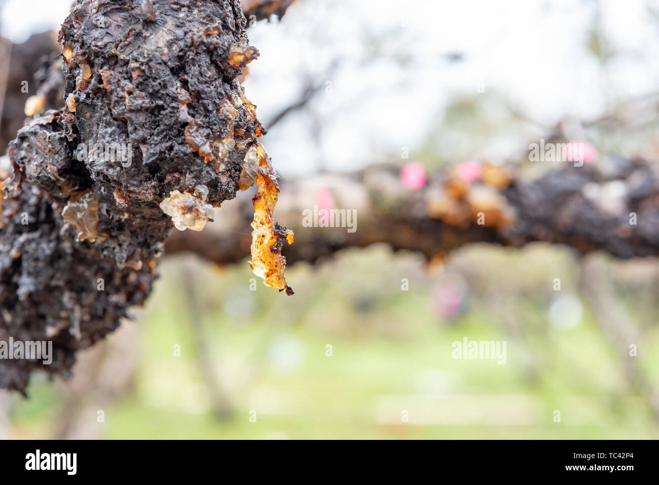 Dark spherical shapes hi-res stock photography and images - Alamy