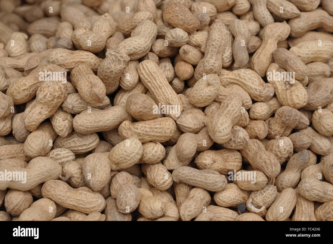 Safety peanut hi-res stock photography and images - Alamy