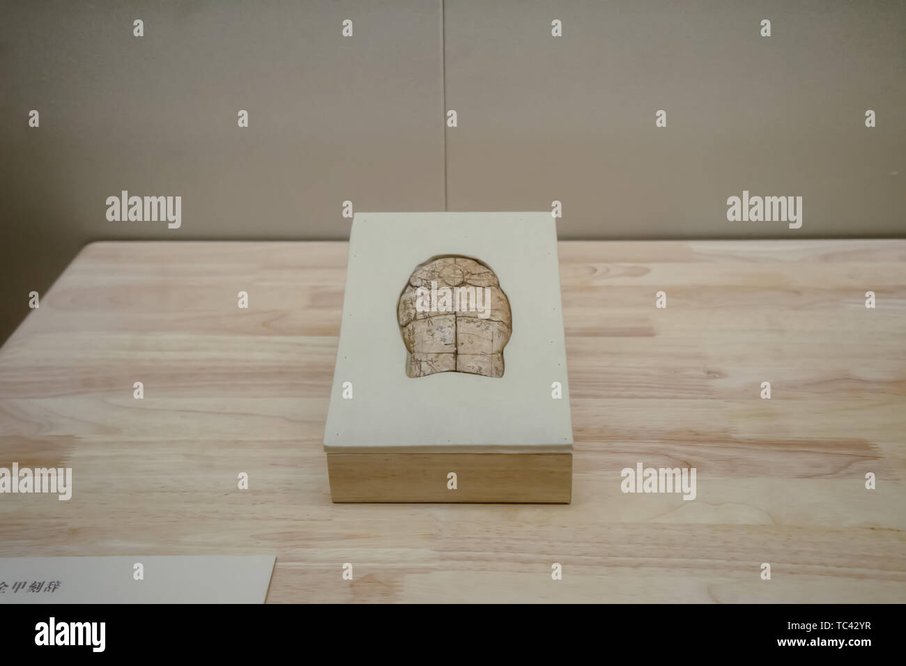 National Museum: Oracle tortoise shell of the Shang Dynasty Stock Photo ...