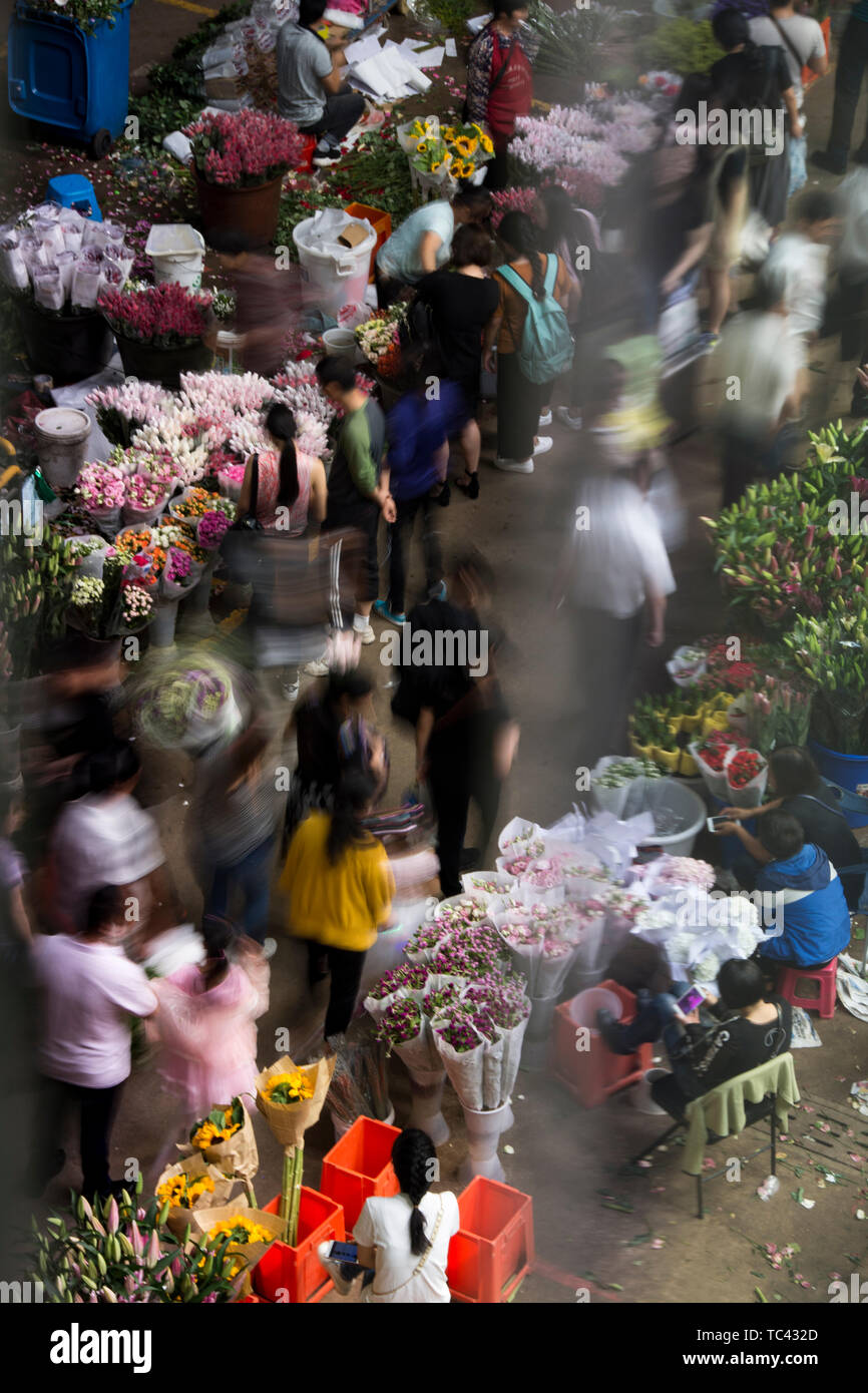Dounan Flower Market, Kunming City, Yunnan Province Stock Photo - Alamy