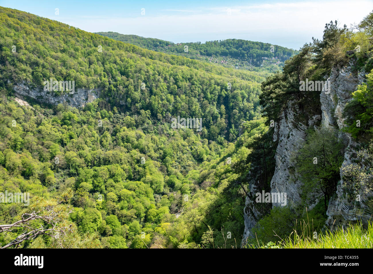 Mountain with a steep rocky slope and valley with thick green forest ...