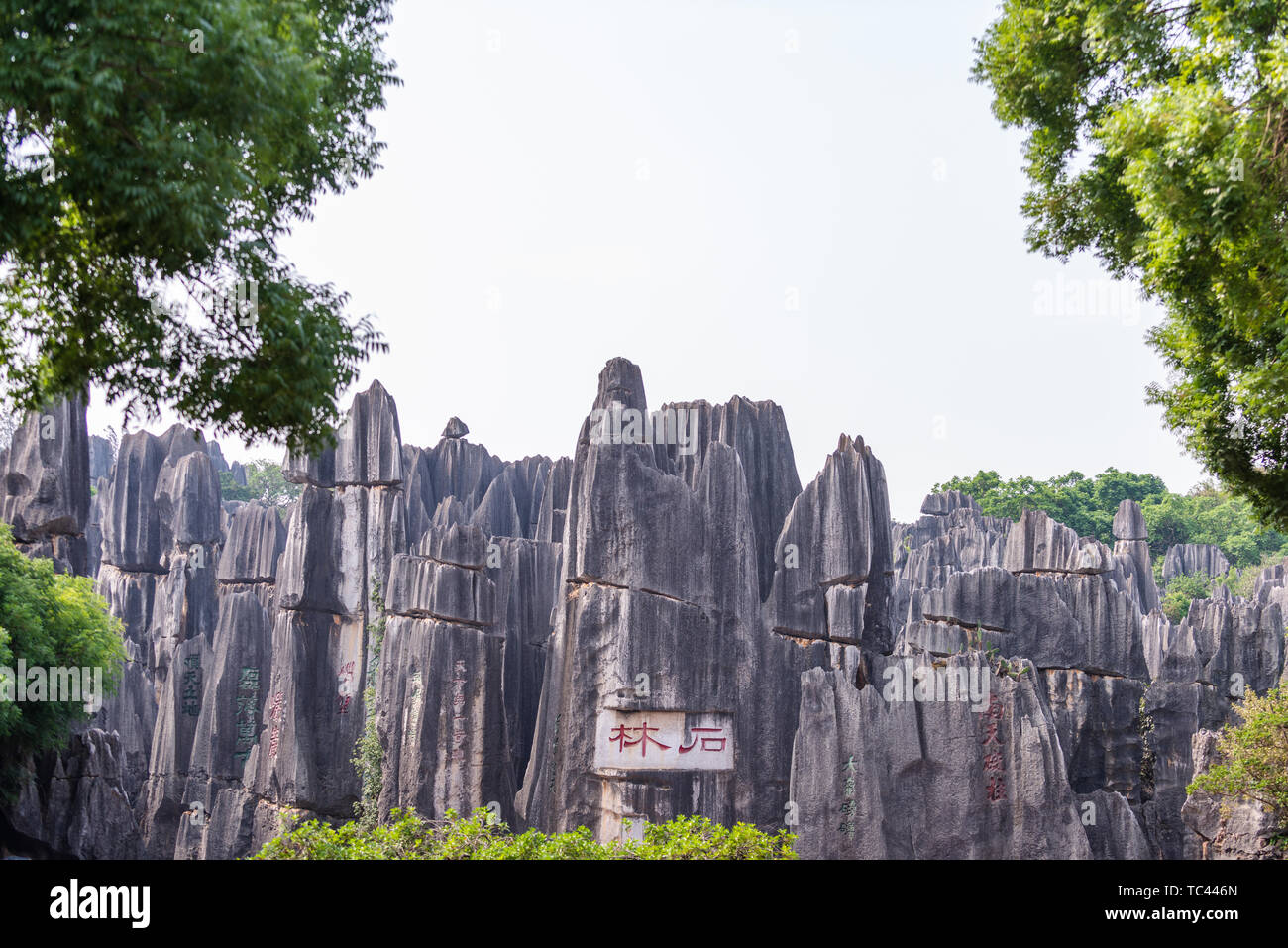 Stone Forest Scenic Area known as the World Geopark in Kunming City ...