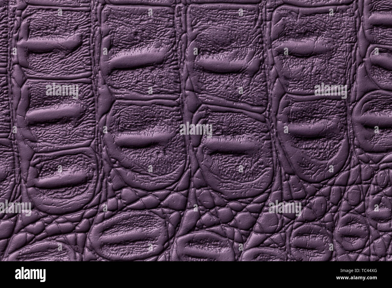 Purple Alligator Skin