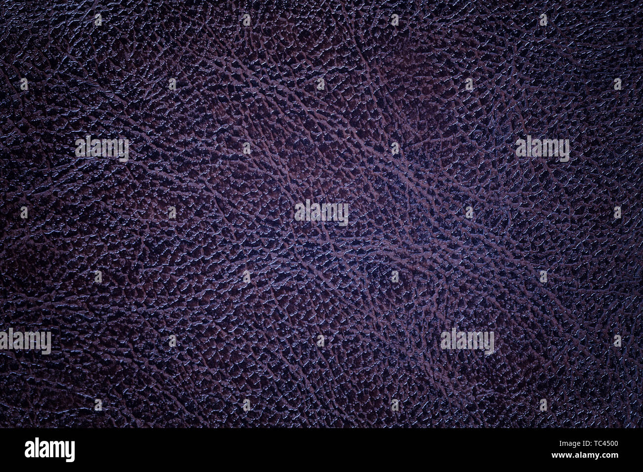 Violet leather texture hi-res stock photography and images - Alamy