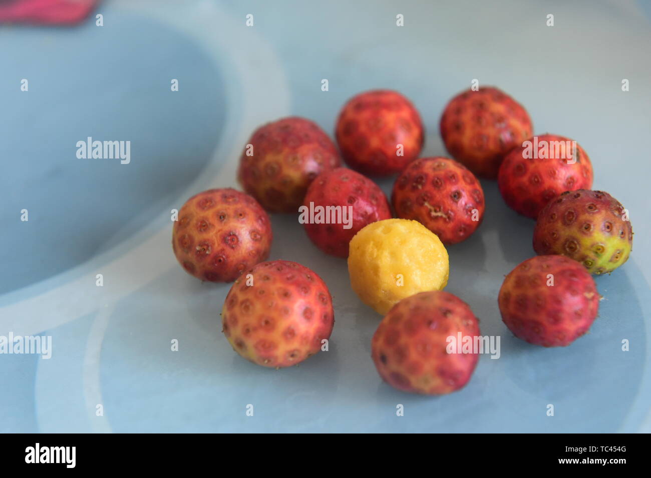 Wild lychee hi-res stock photography and images - Alamy