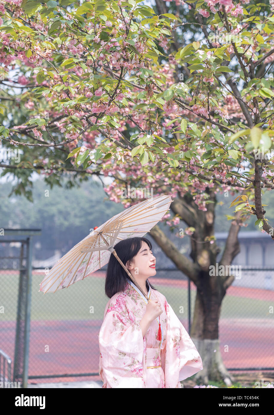 Photographed during heavy mail cherry blossom season Stock Photo - Alamy