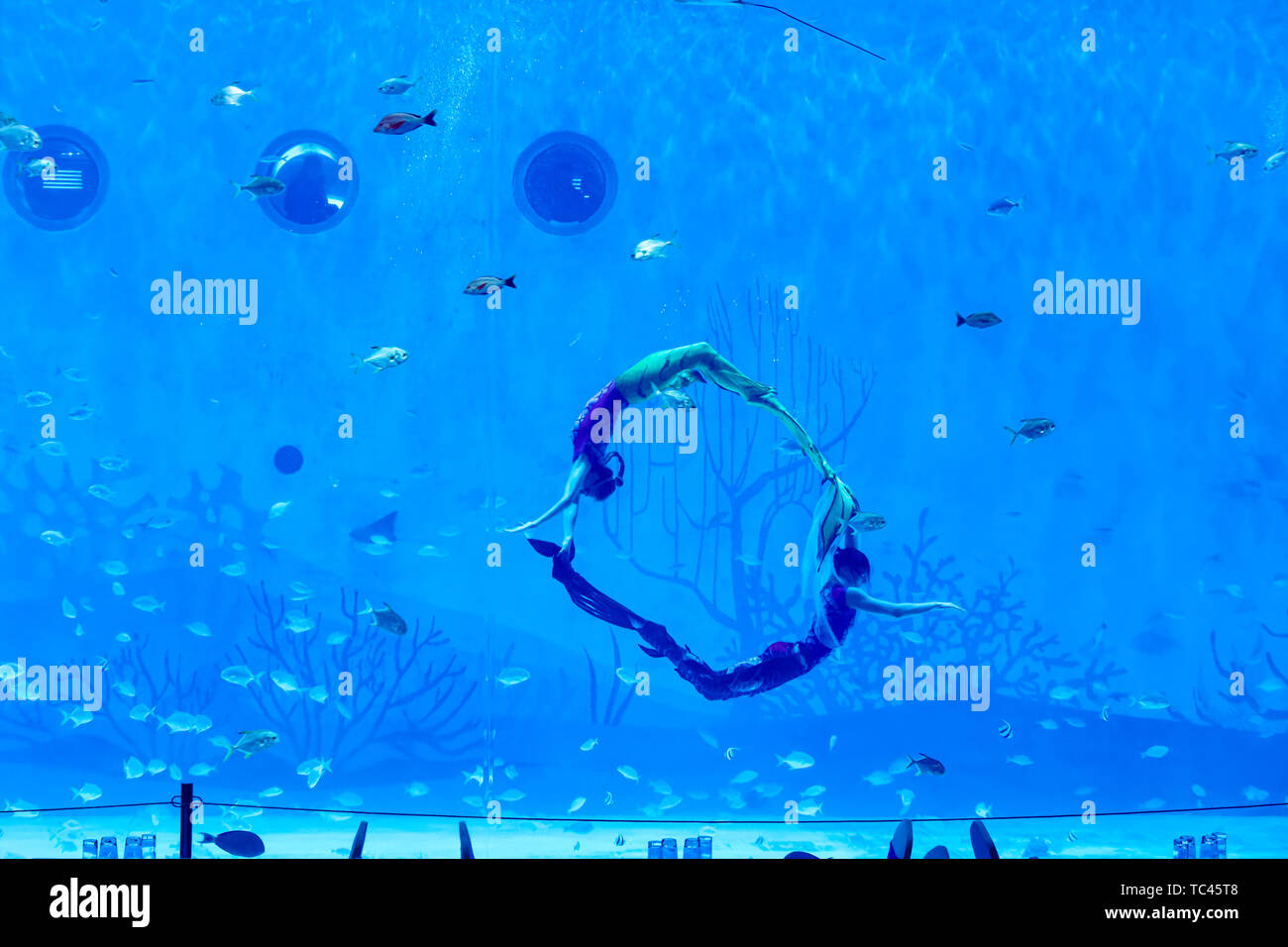 Mermaid performance at Haichang Ocean Park, Shanghai Stock Photo - Alamy