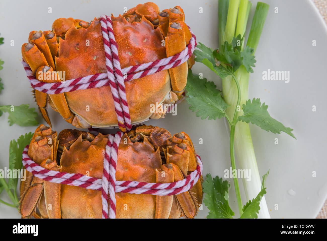 Hairy stone crab hi-res stock photography and images - Alamy