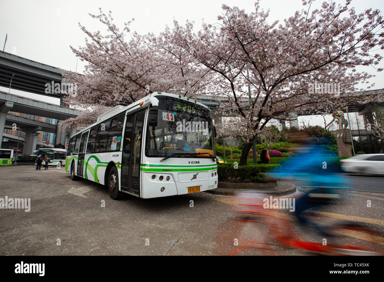 Nanpu bus station Stock Photo - Alamy