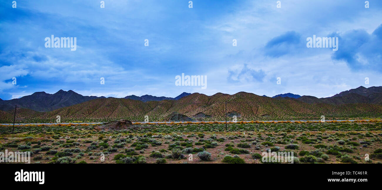 Picture of Tai Chai Dan Stock Photo - Alamy