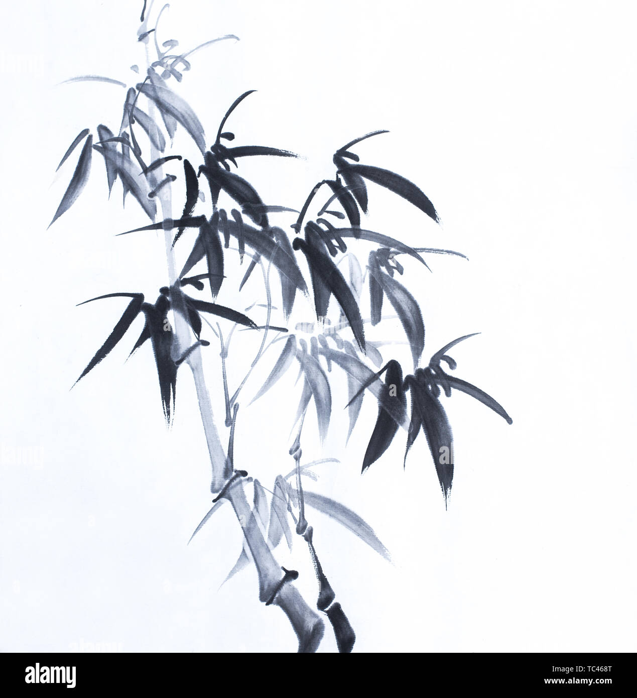 Bamboo motifs hi-res stock photography and images - Alamy