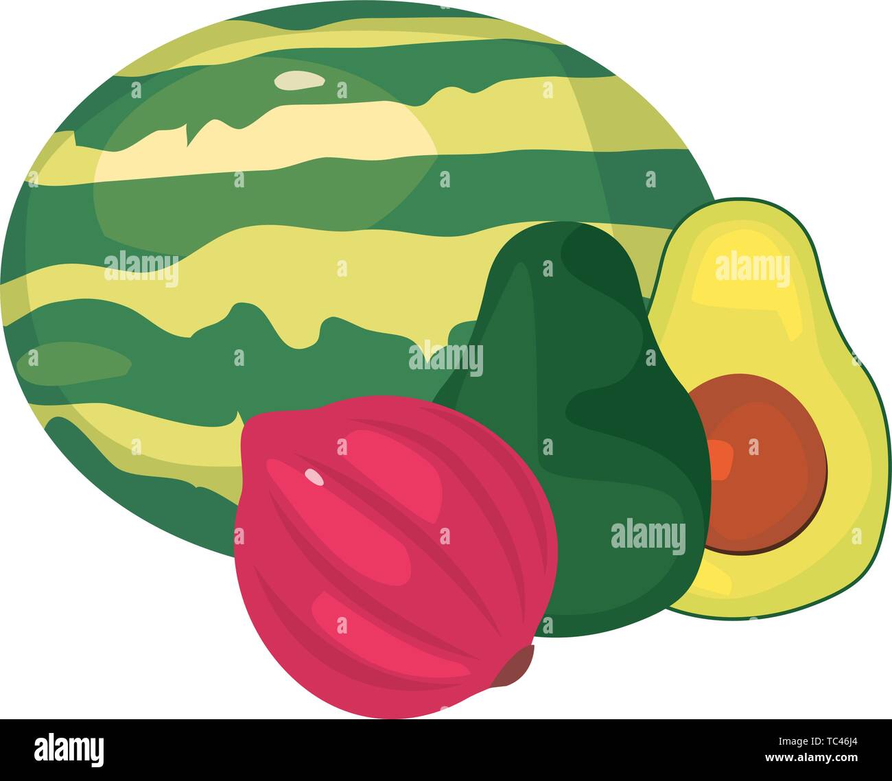 avocado red onion watermelon fresh food vector illustration Stock ...