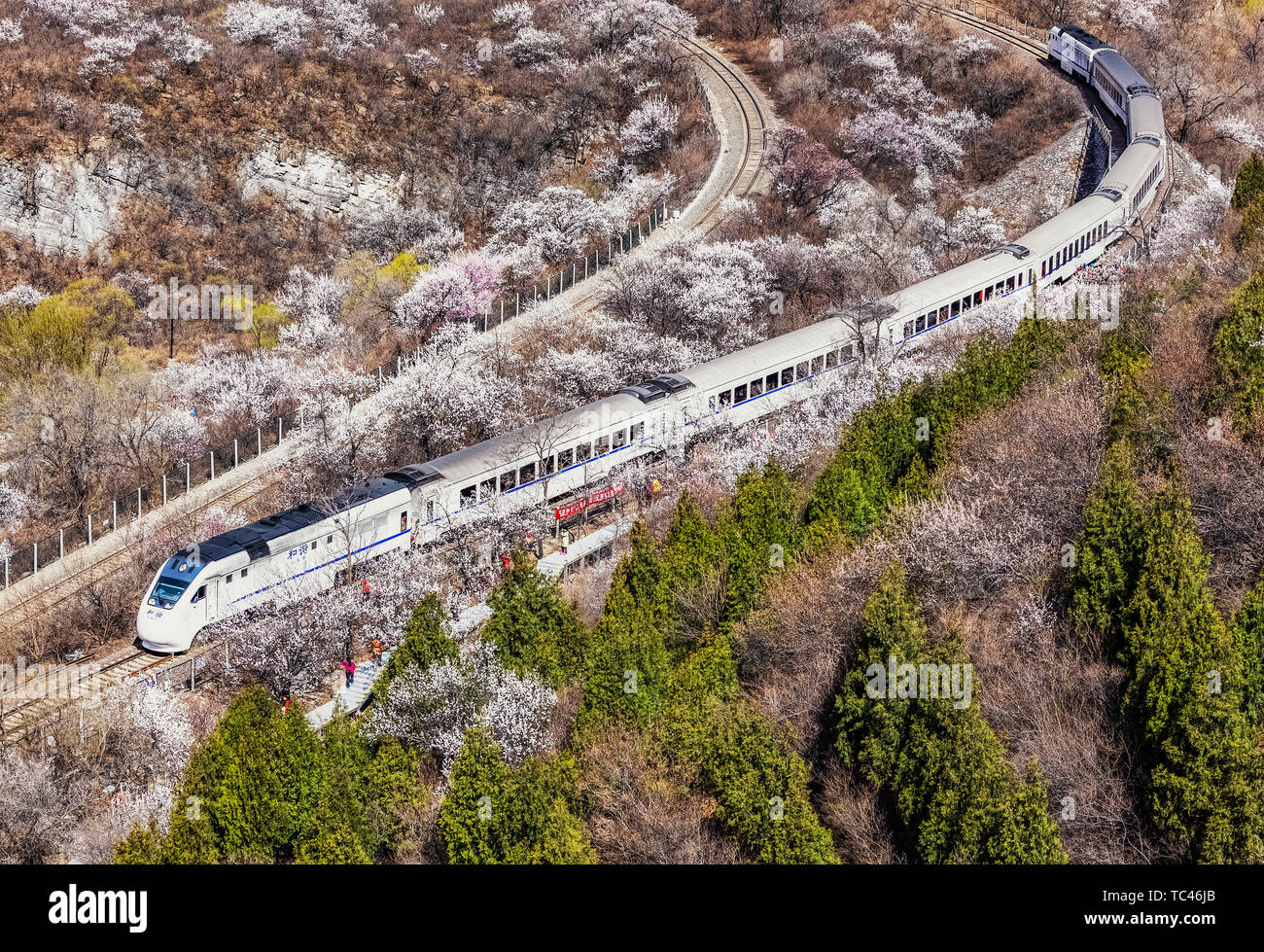 Flower train for spring Stock Photo - Alamy