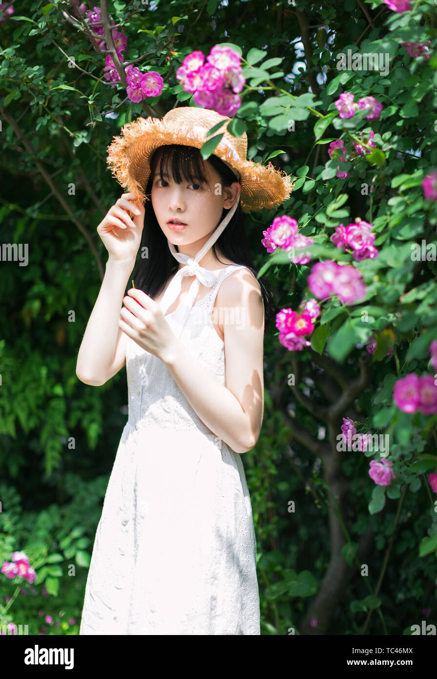 The rose figures Stock Photo - Alamy