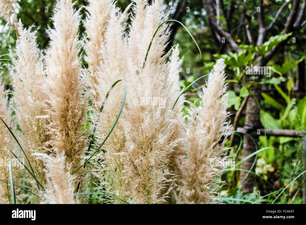 Scenery of Gucun Park in Shanghai Stock Photo - Alamy