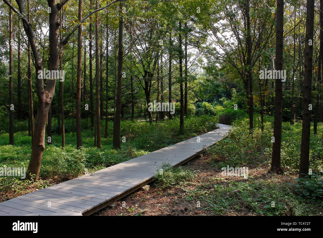Binjiang park hi-res stock photography and images - Alamy