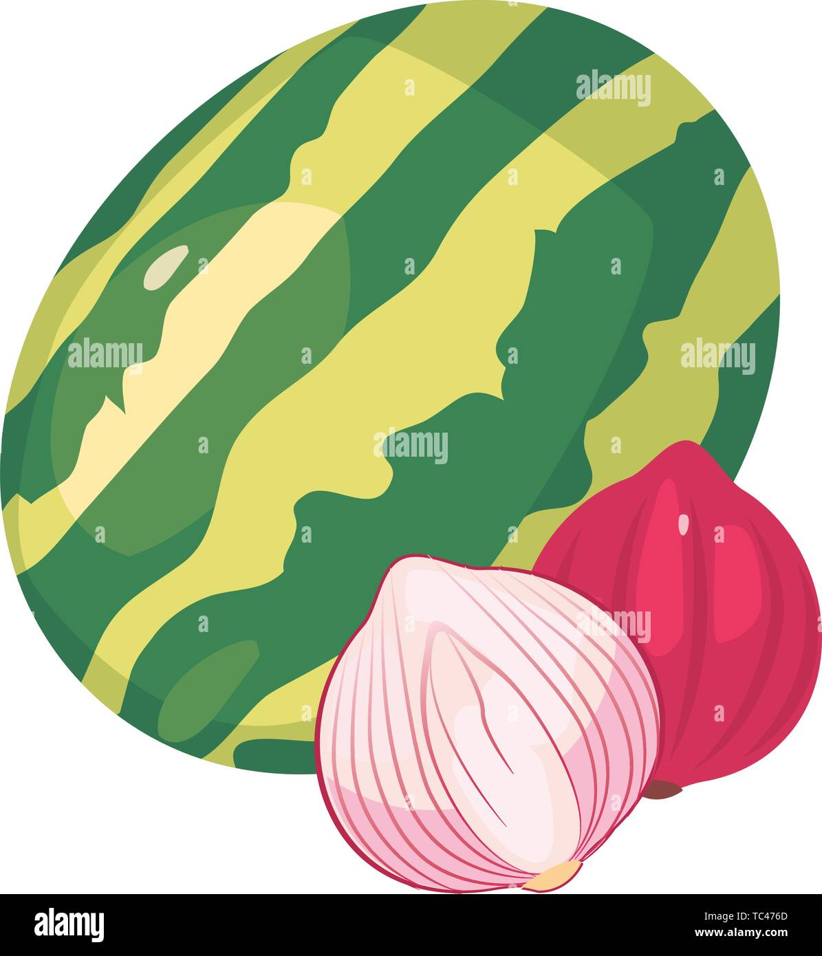 garlic red onion watermelon fresh food vector illustration design Stock ...