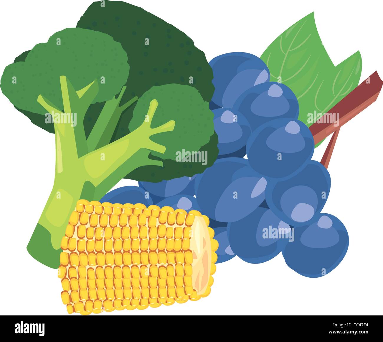 broccoli grapes corn fresh food vector illustration Stock Vector Image ...