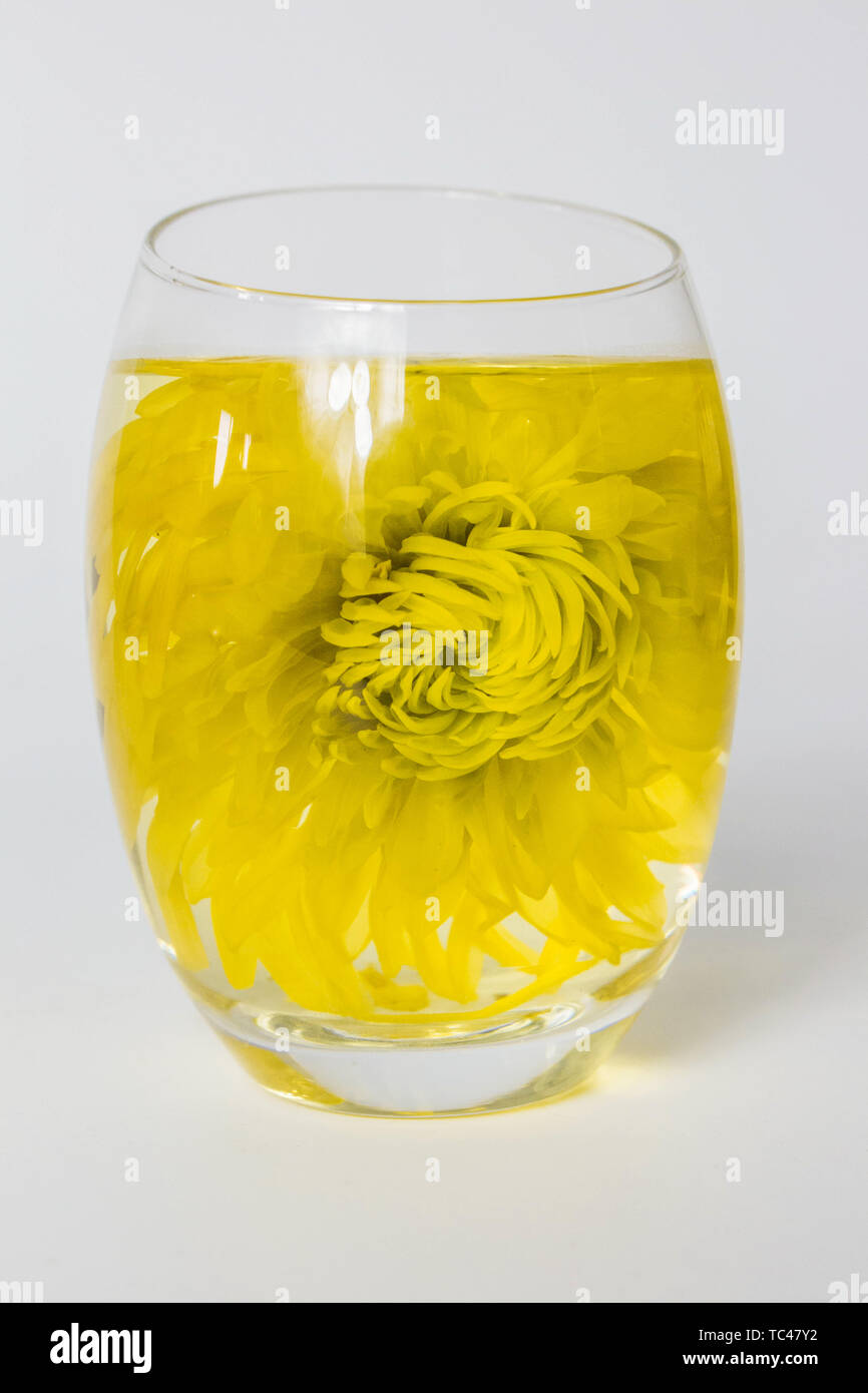 Fire tea, chrysanthemum tea Stock Photo - Alamy