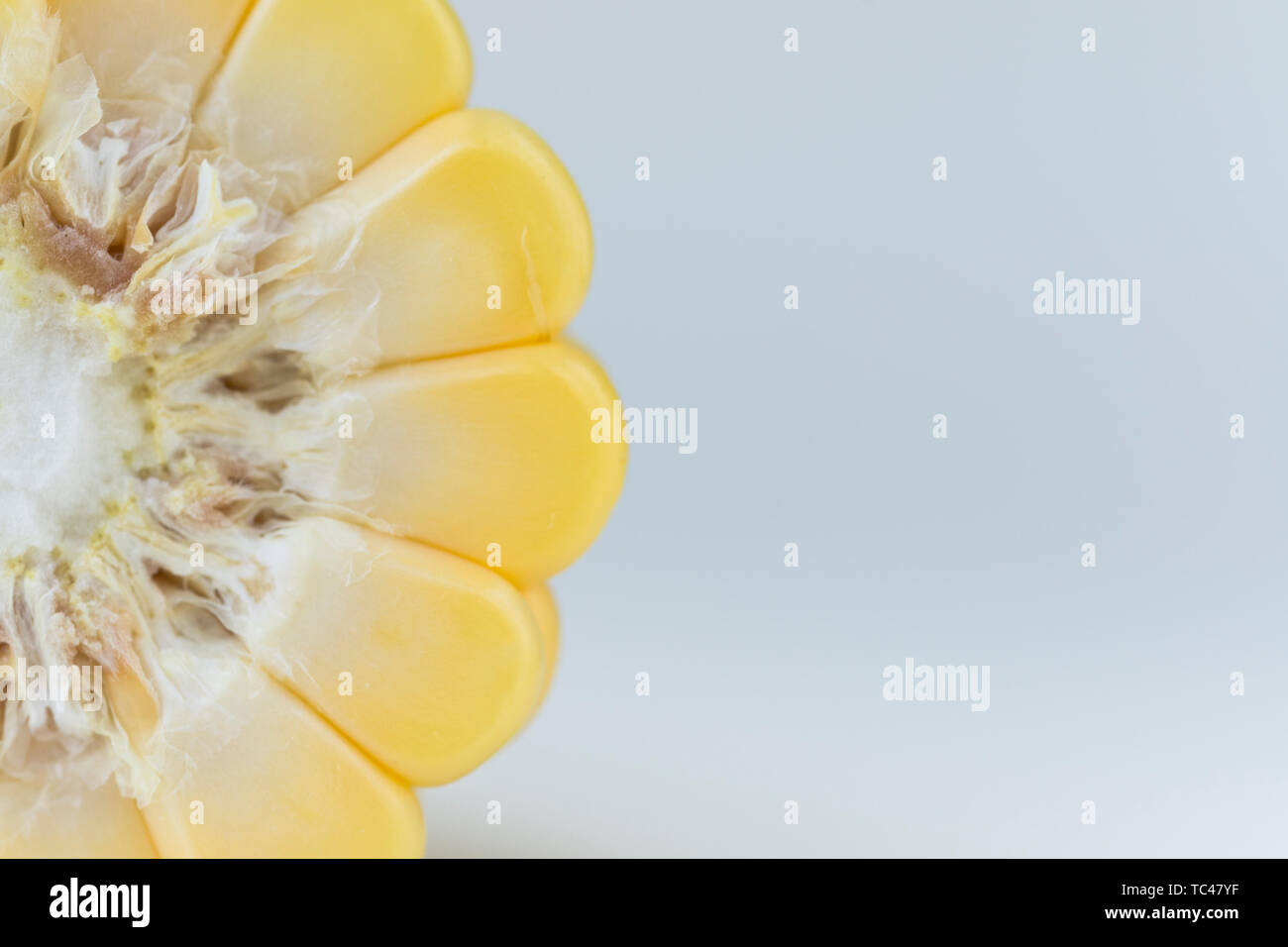 Corn Cross Section High Resolution Stock Photography and Images - Alamy