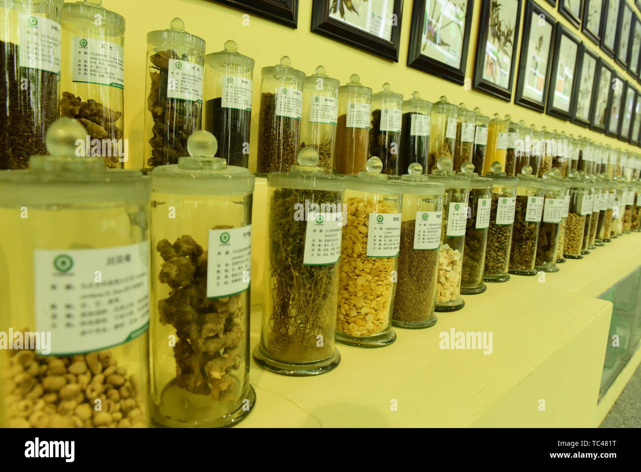 Chinese herbal plant specimens Stock Photo - Alamy