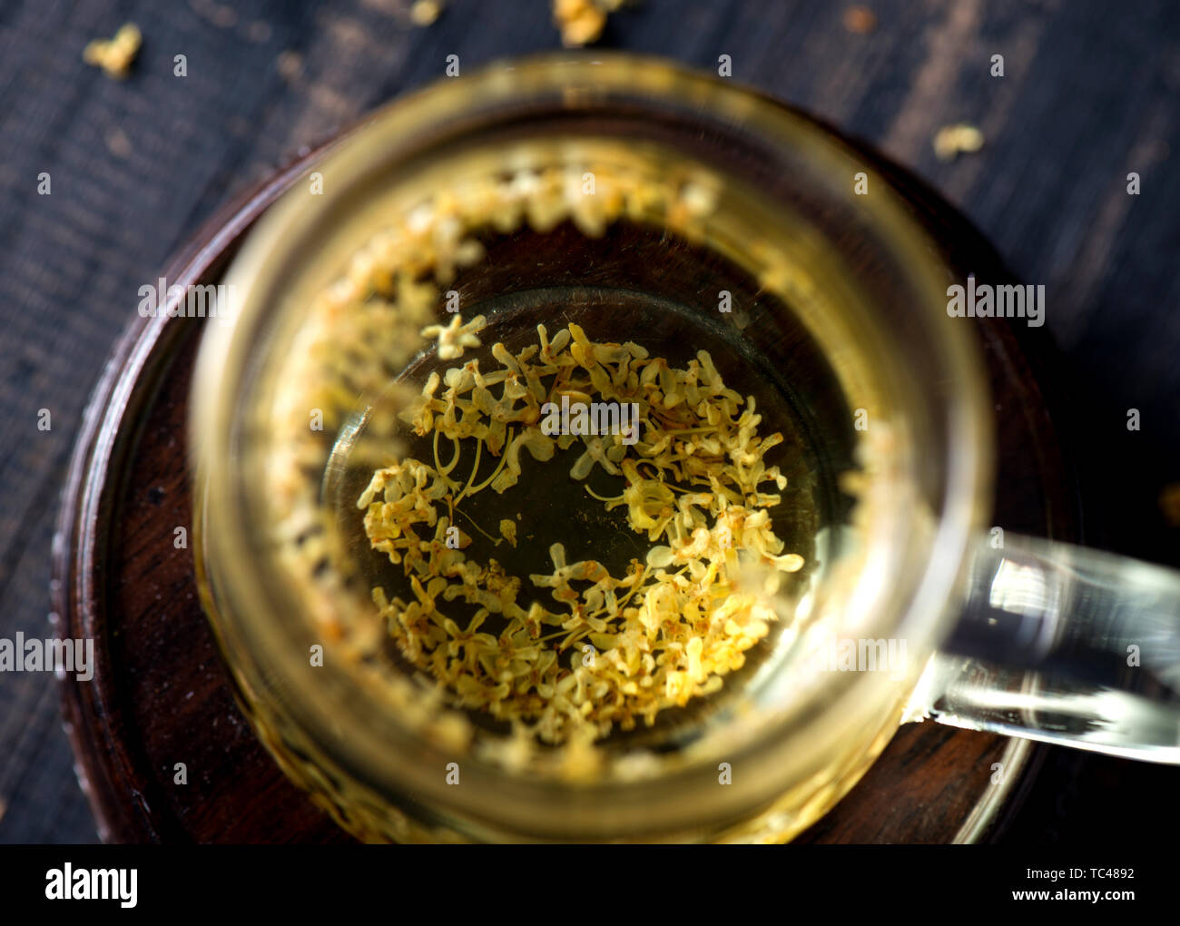 Golden osmanthus hi-res stock photography and images - Alamy