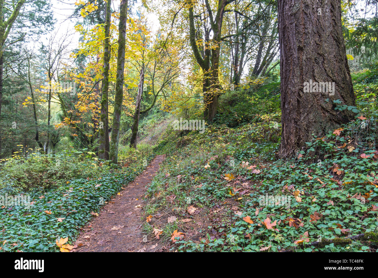 Nature autumn landscapes environmental parks no people guide outdoor ...