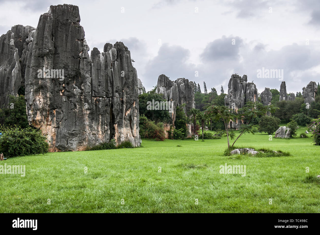 Shilin geopark hi-res stock photography and images - Alamy