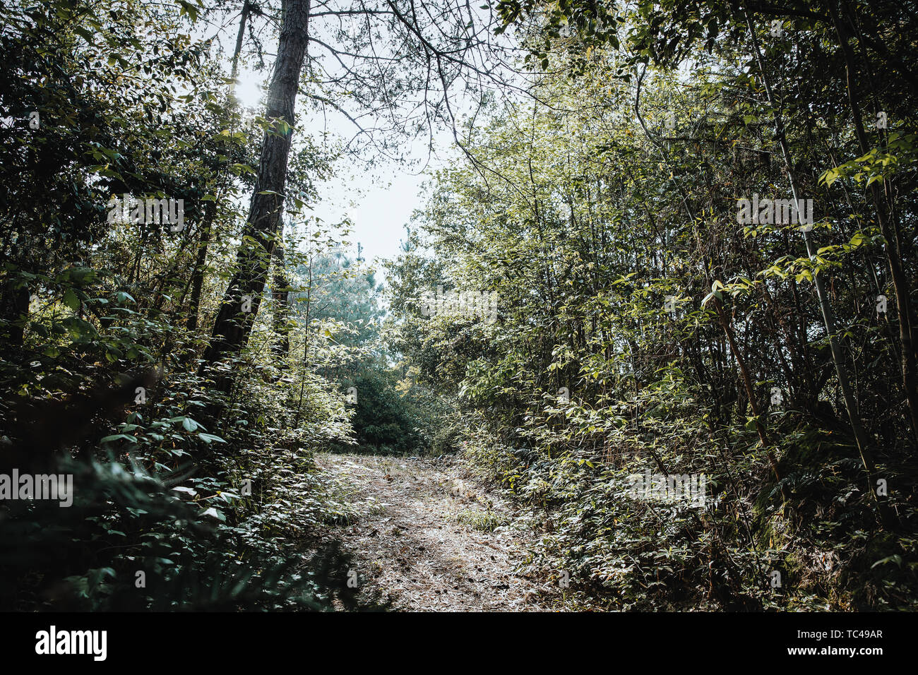 Pastoral life scenery hi-res stock photography and images - Alamy
