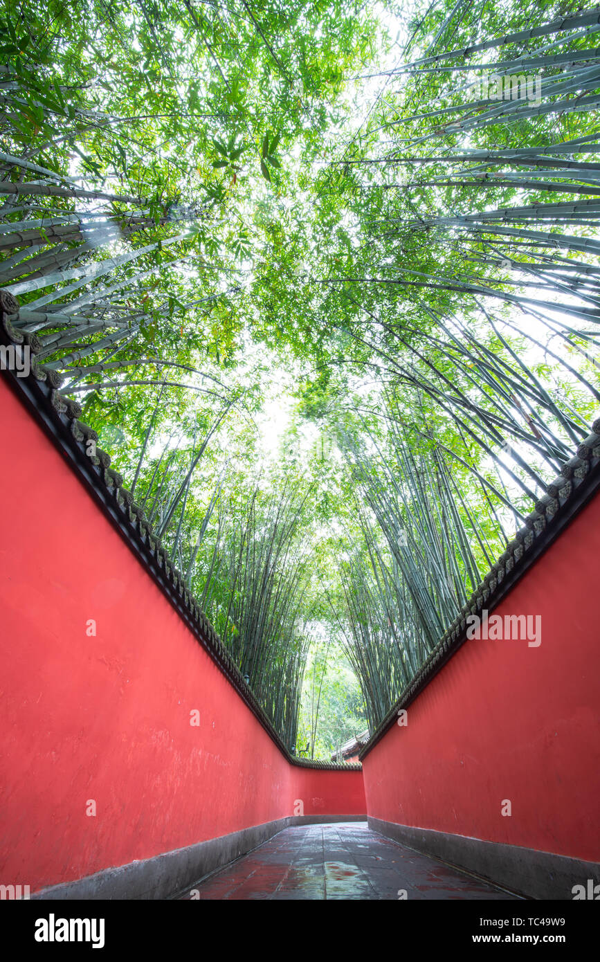 Red Wall and Bamboo Forest in Wuhou Temple Museum in Chengdu Stock ...