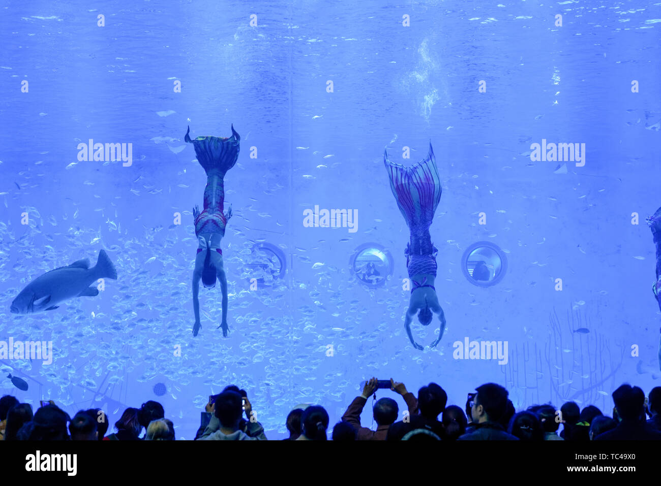 Mermaid performance at Haichang Ocean Park, Shanghai Stock Photo - Alamy