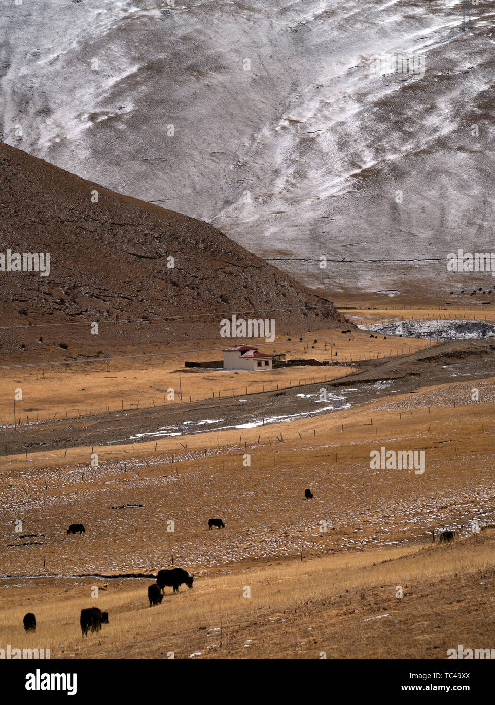 Snow line at the tibetan plateau hi-res stock photography and images ...