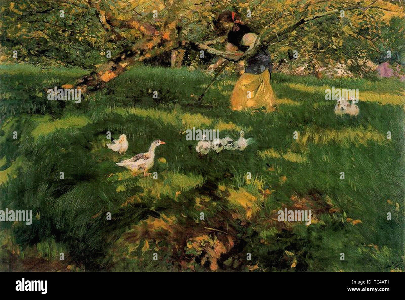 Herding geese hi-res stock photography and images - Alamy