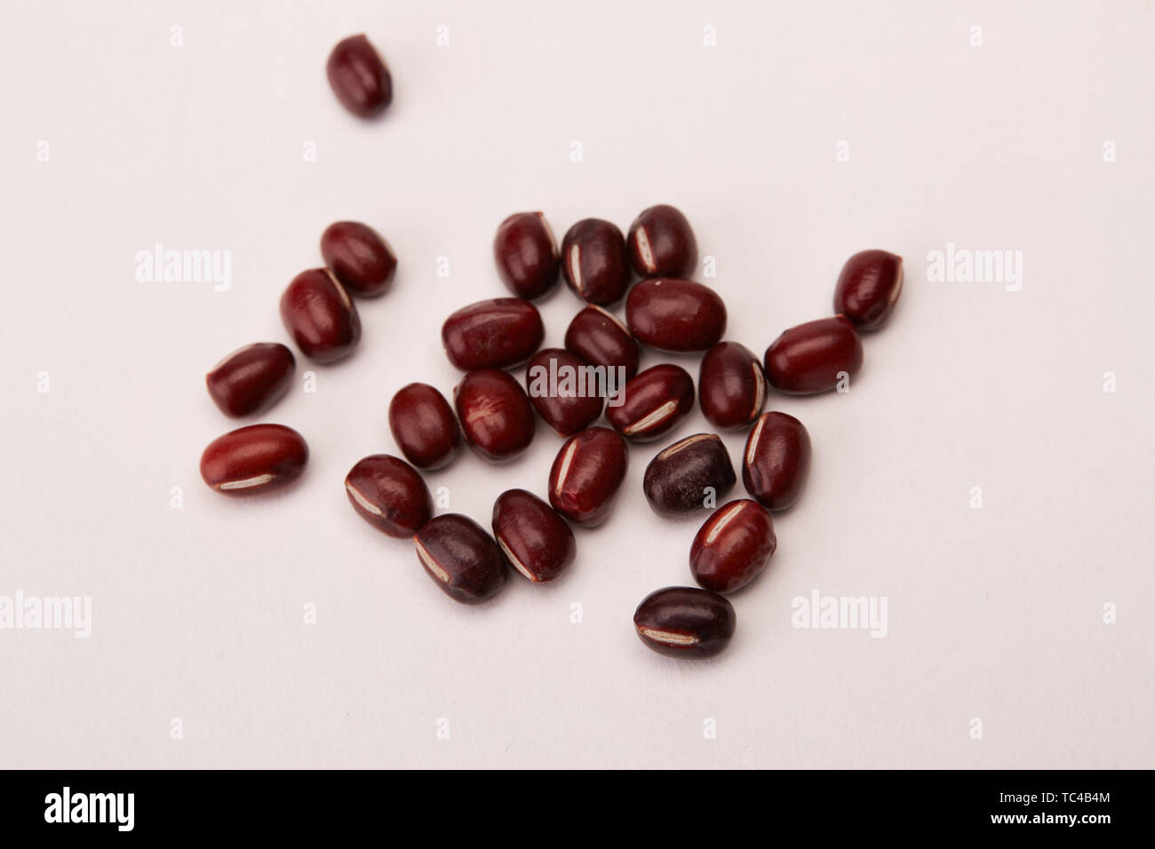 Red acacia beans hi-res stock photography and images - Alamy