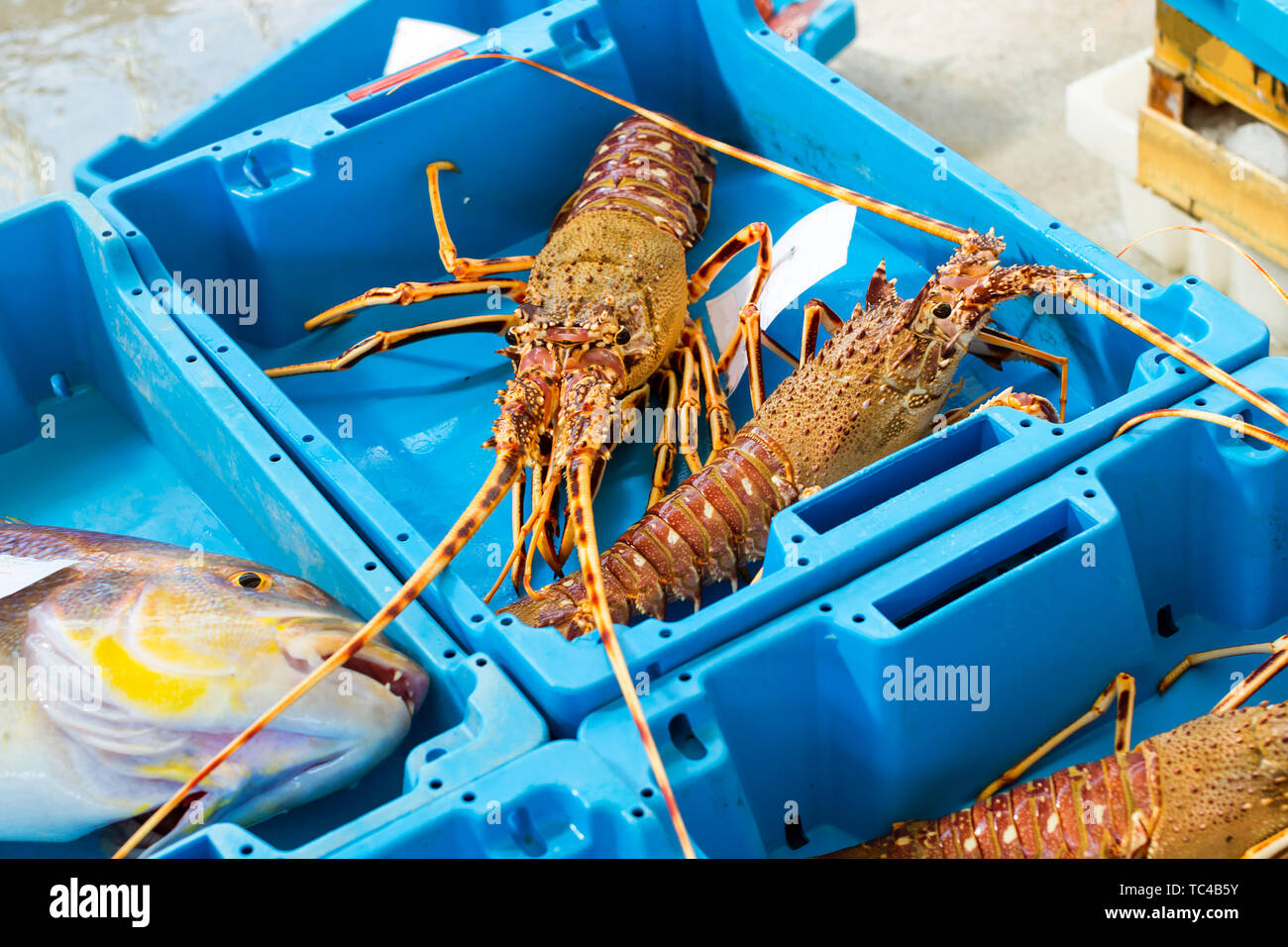 Omar's seafood store