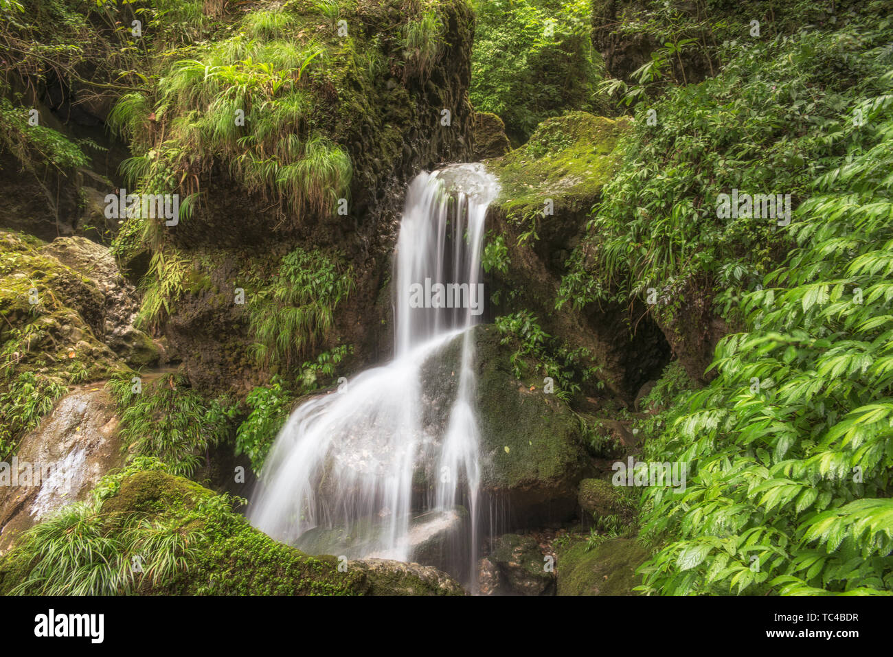 Chengdu and qingcheng mountain hi-res stock photography and images - Alamy