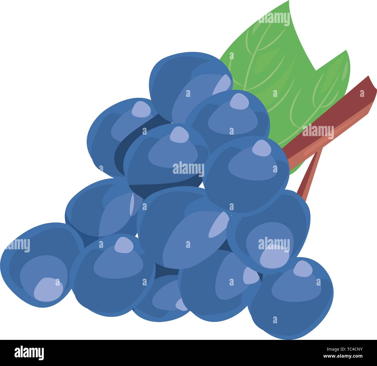 grapes fresh delicious fruit nutrition vector illustration Stock Vector ...