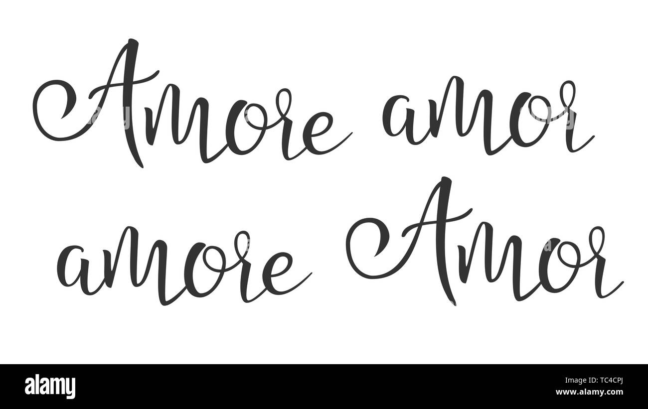 Funny Modern Calligraphy Ink Of Word Amor Vector Stock Vector Image ...