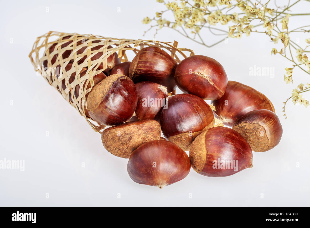 Chestnut horse anatomy hi-res stock photography and images - Alamy