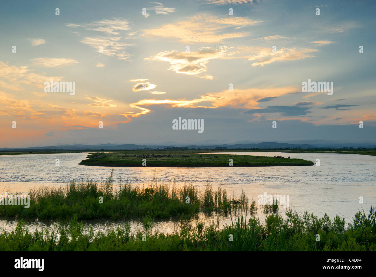 The land of the Muring River basin of the northern wilderness is ...