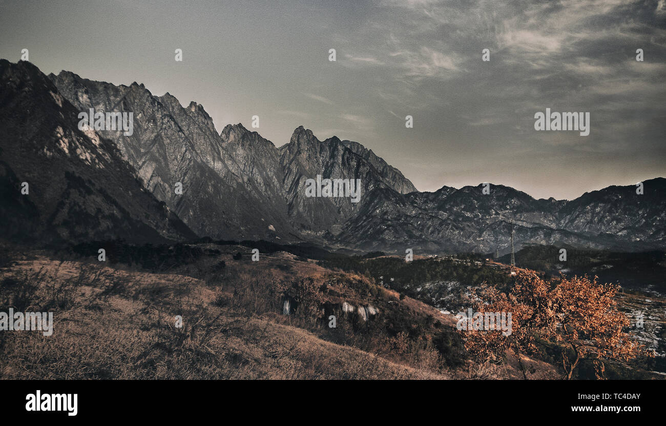 Rile hi-res stock photography and images - Alamy