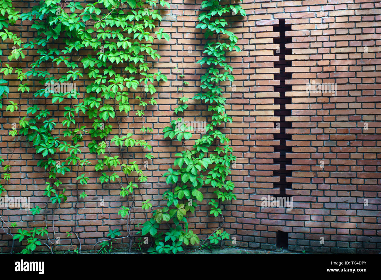 Red brick art gallery hi-res stock photography and images - Alamy