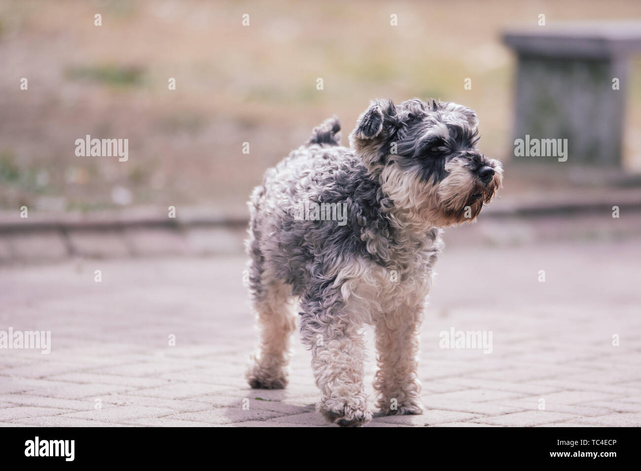 Chenery hi-res stock photography and images - Alamy