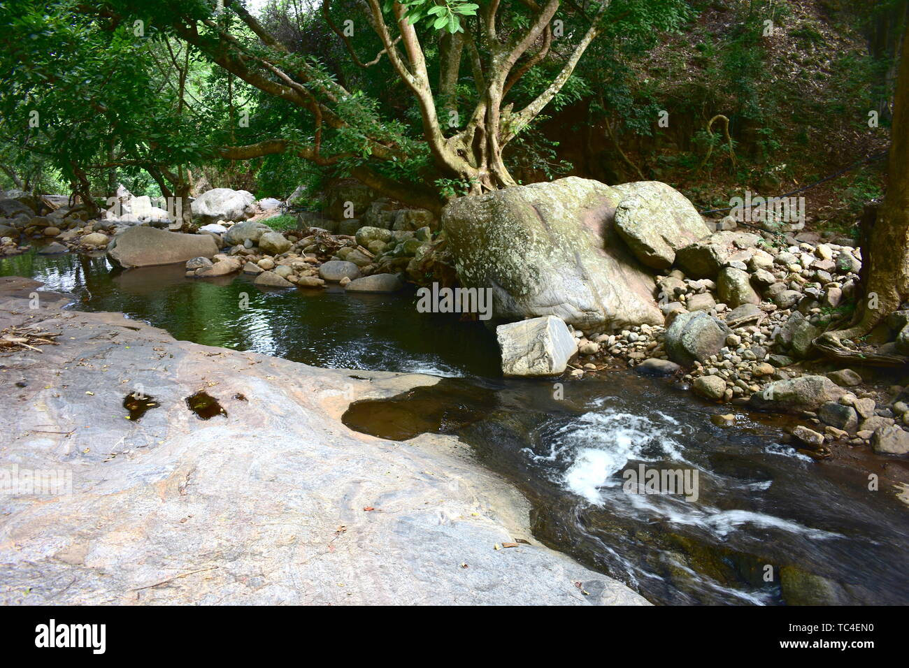 Adukamm Waterfalls and The Pambar River Stock Photo - Alamy