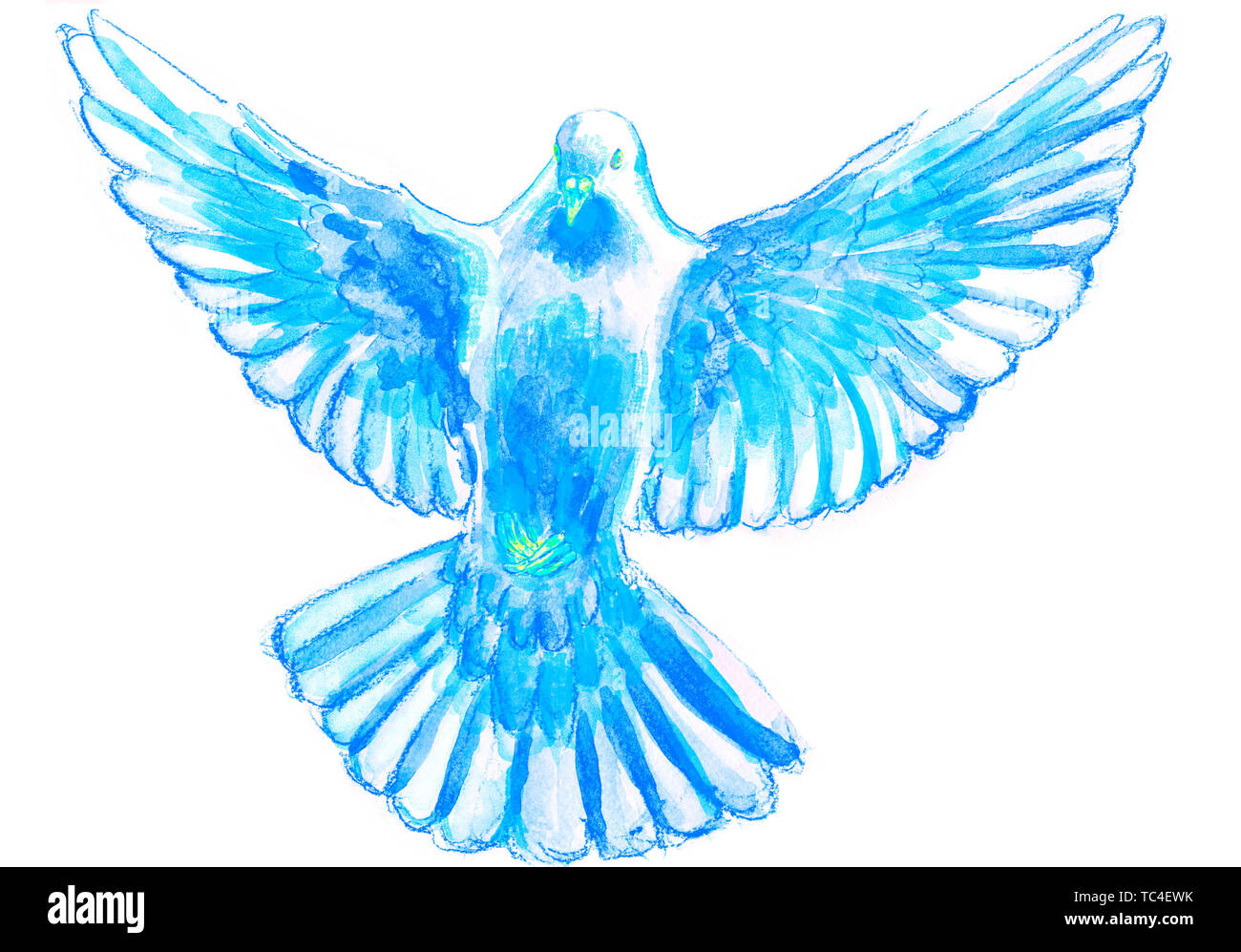 Watercolor and digital watercolor illustration of bird, pigeon in blue ...