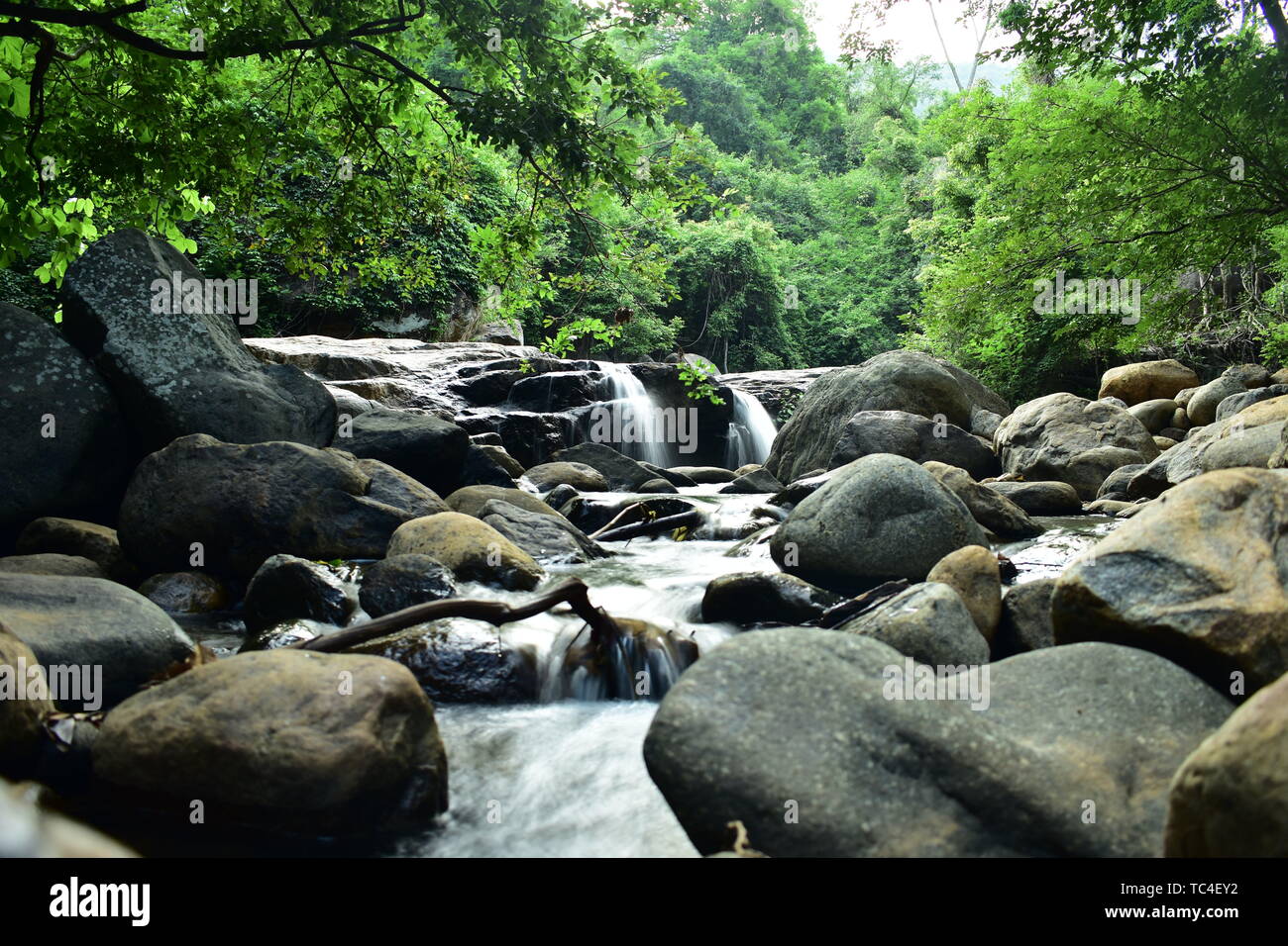 Adukamm Waterfalls and The Pambar River Stock Photo - Alamy