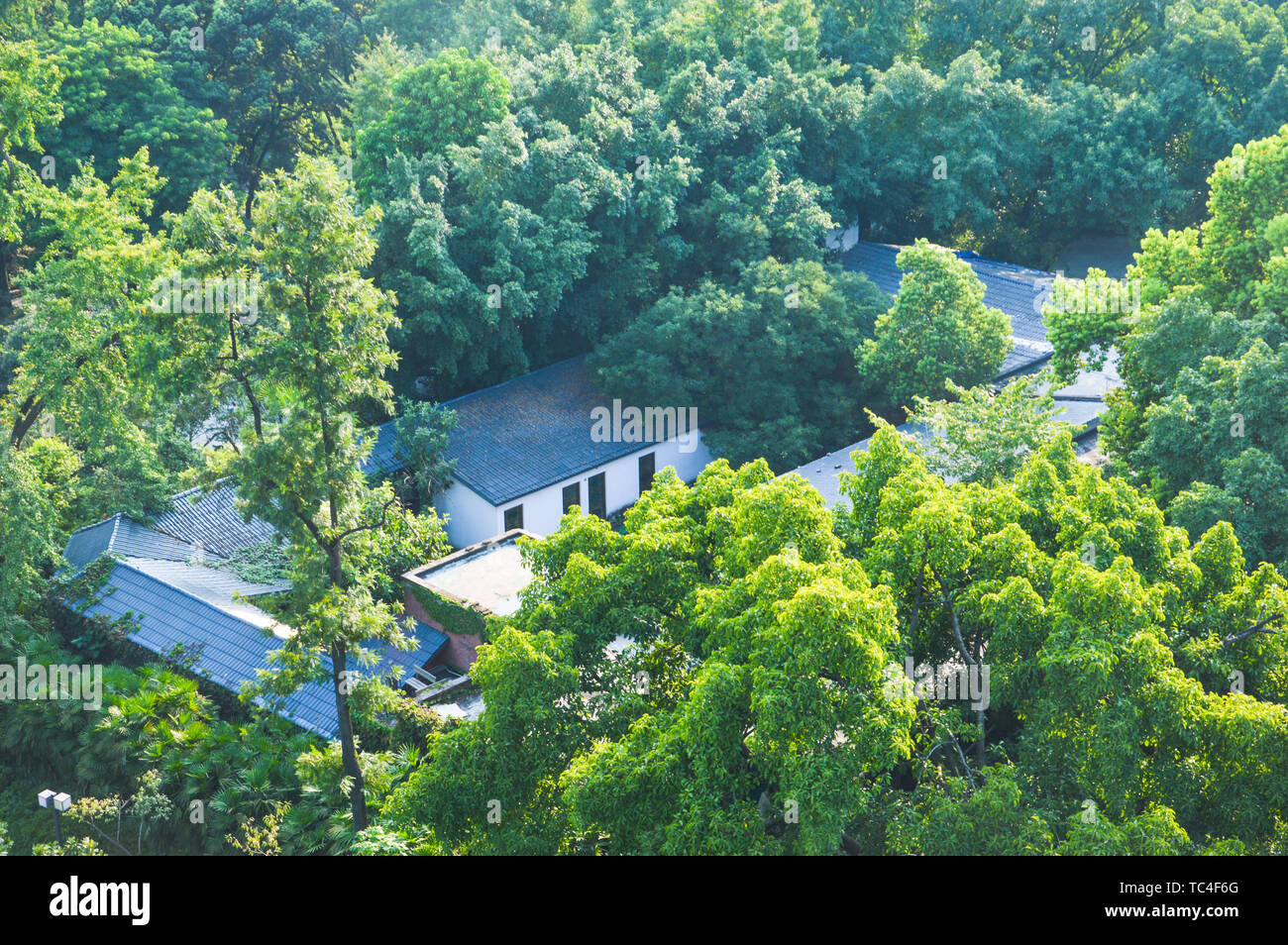 Goose ridge park hi-res stock photography and images - Alamy